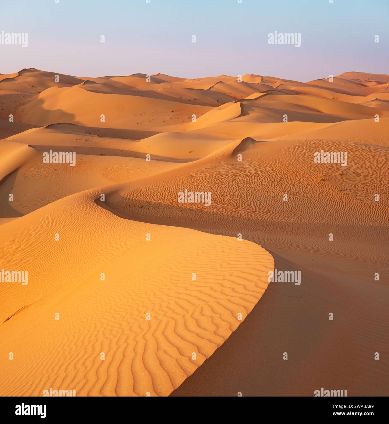 Curved sand dunes at sunset in the empty quarter, Rub'al Khali desert. Orange colors Stock Photo ...