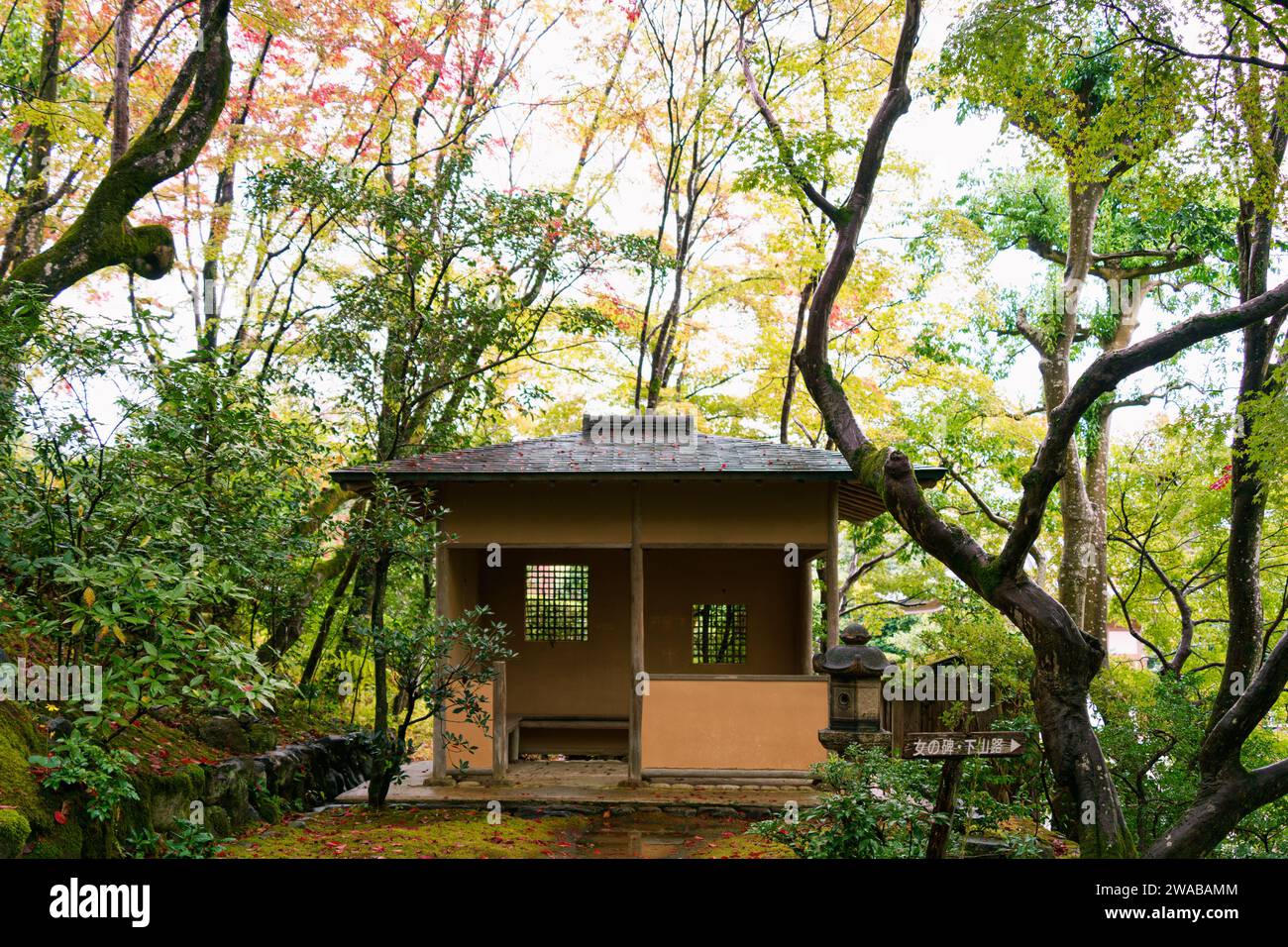 Traditional Japanese Architecture Temple at Byodoin surrounded by trees ...