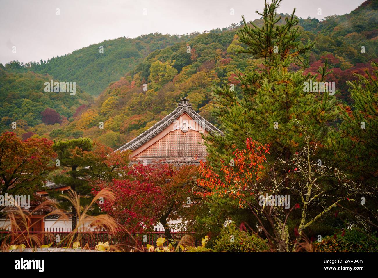Traditional Japanese Architecture Temple at Tenryu Ji in Kyoto, Japan ...
