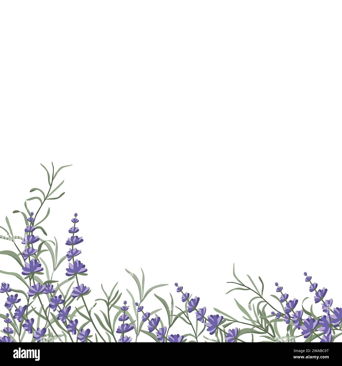 Floral purple-lavender border made of lavender flowers and leaves, for ...