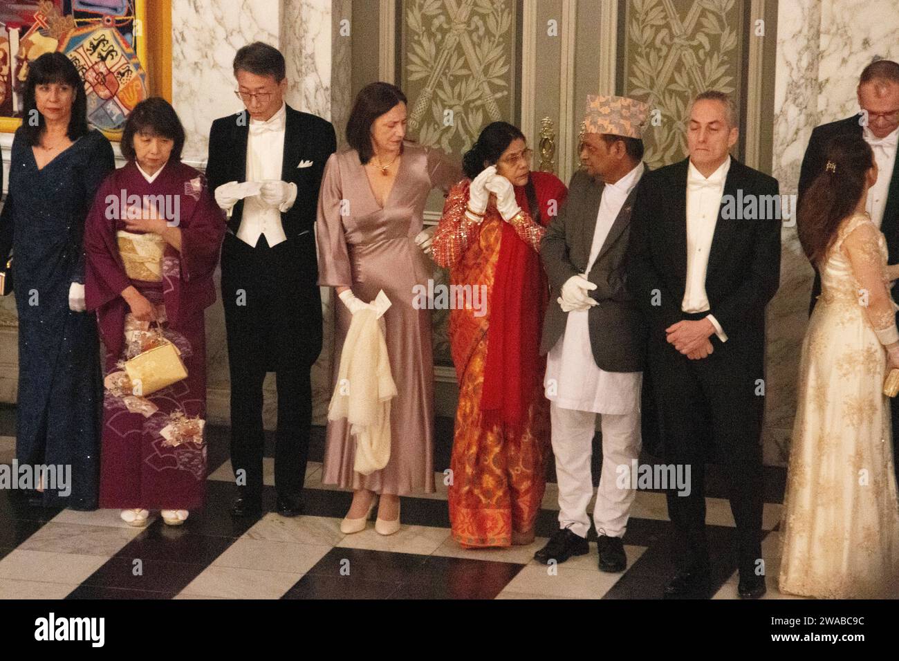 The diplomatic corps at the New Year s levee for diplomacy at ...