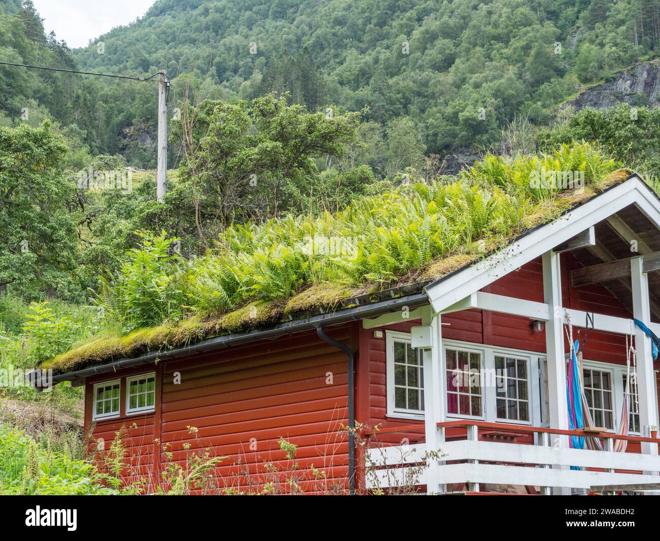 A sod roof, or turf roof, is a traditional Scandinavian type of green ...
