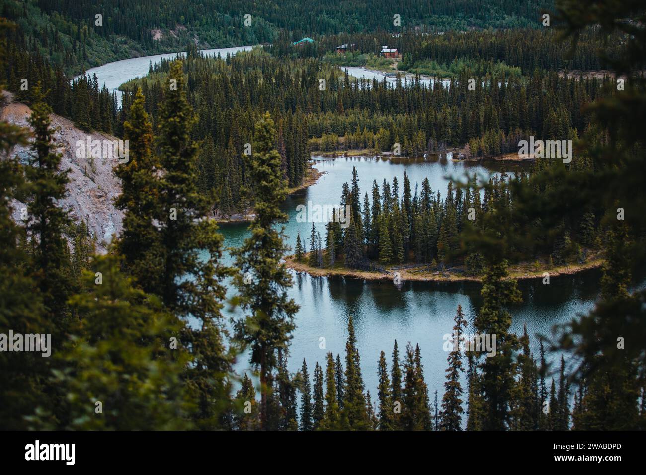 Alaska wildlife denali mountains hi-res stock photography and images ...