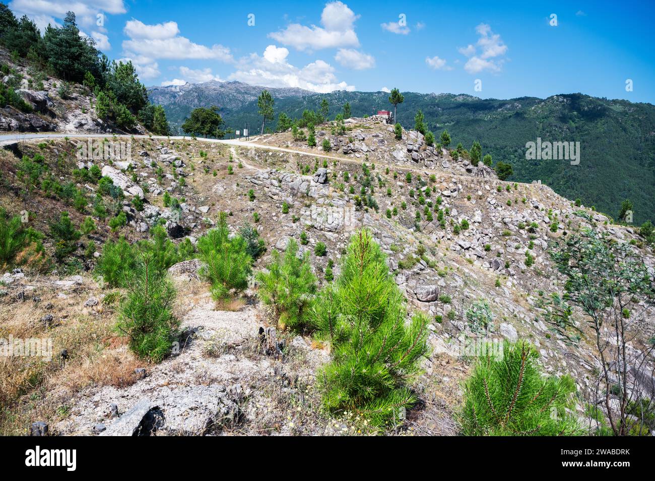 Trilho da silha dos ursos hi-res stock photography and images - Alamy