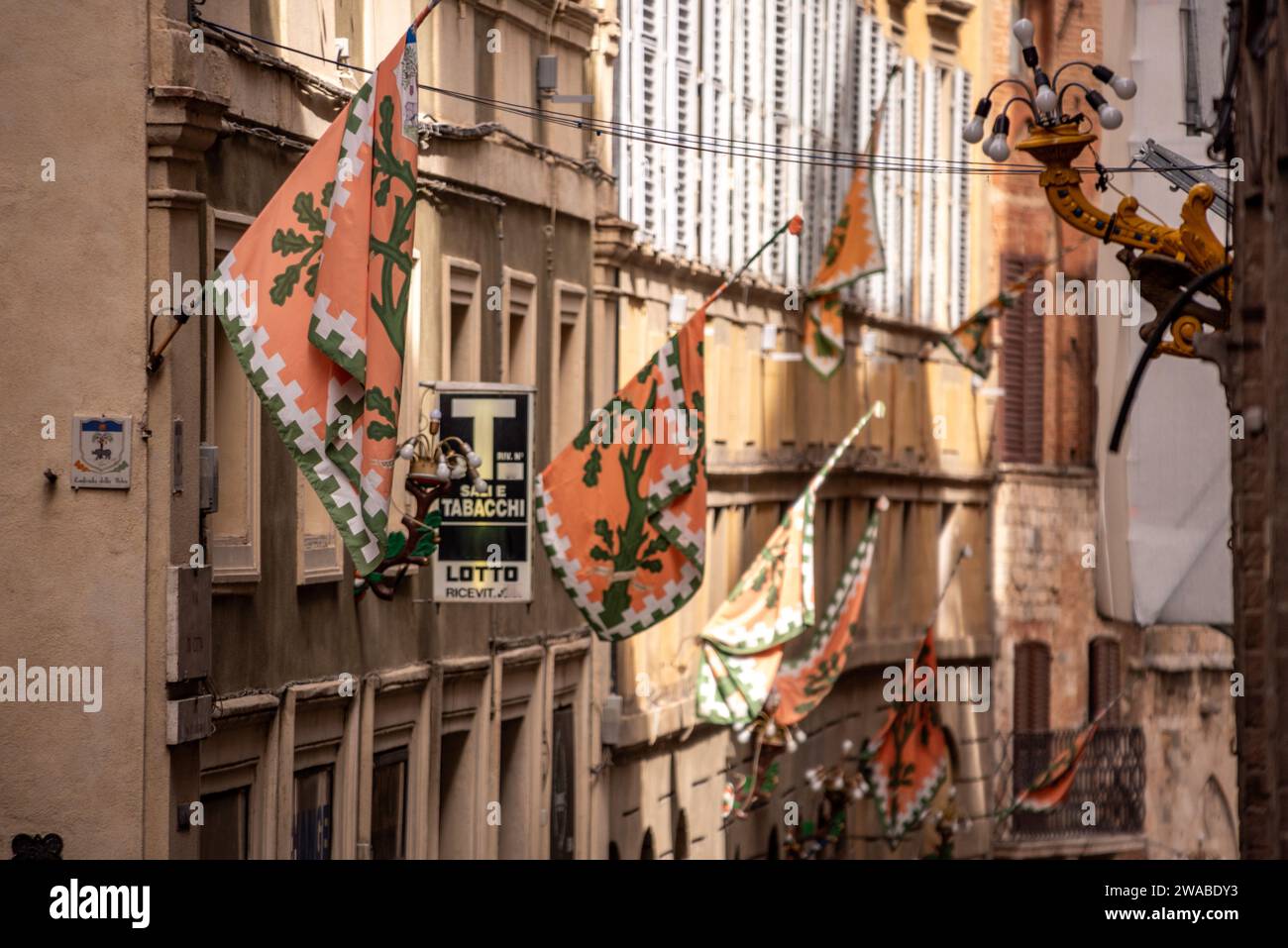 Contrade flag of the Selva-Rhino city district hanging in a street in ...