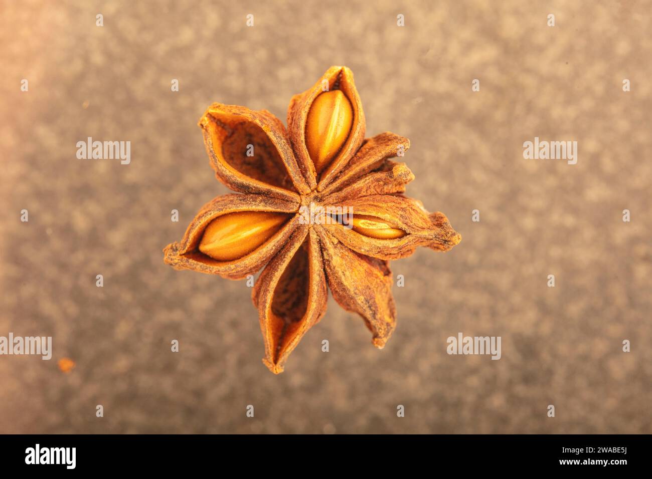 Revealing macro food ingredient close up of highly patternedIllicium ...