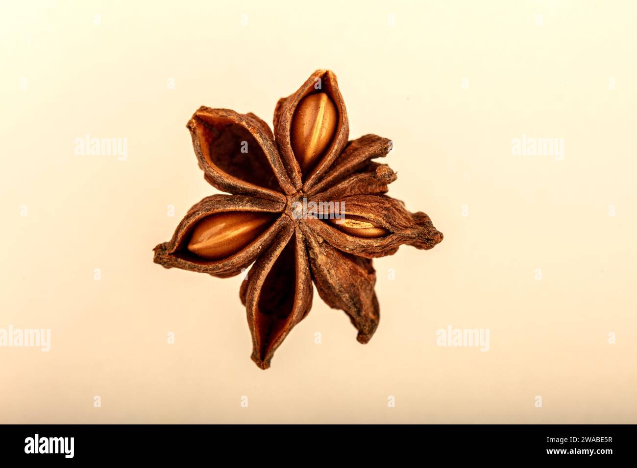 Revealing macro food ingredient close up of highly patternedIllicium ...