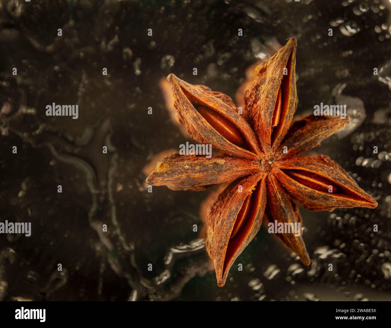 Revealing macro food ingredient close up of highly patternedIllicium ...