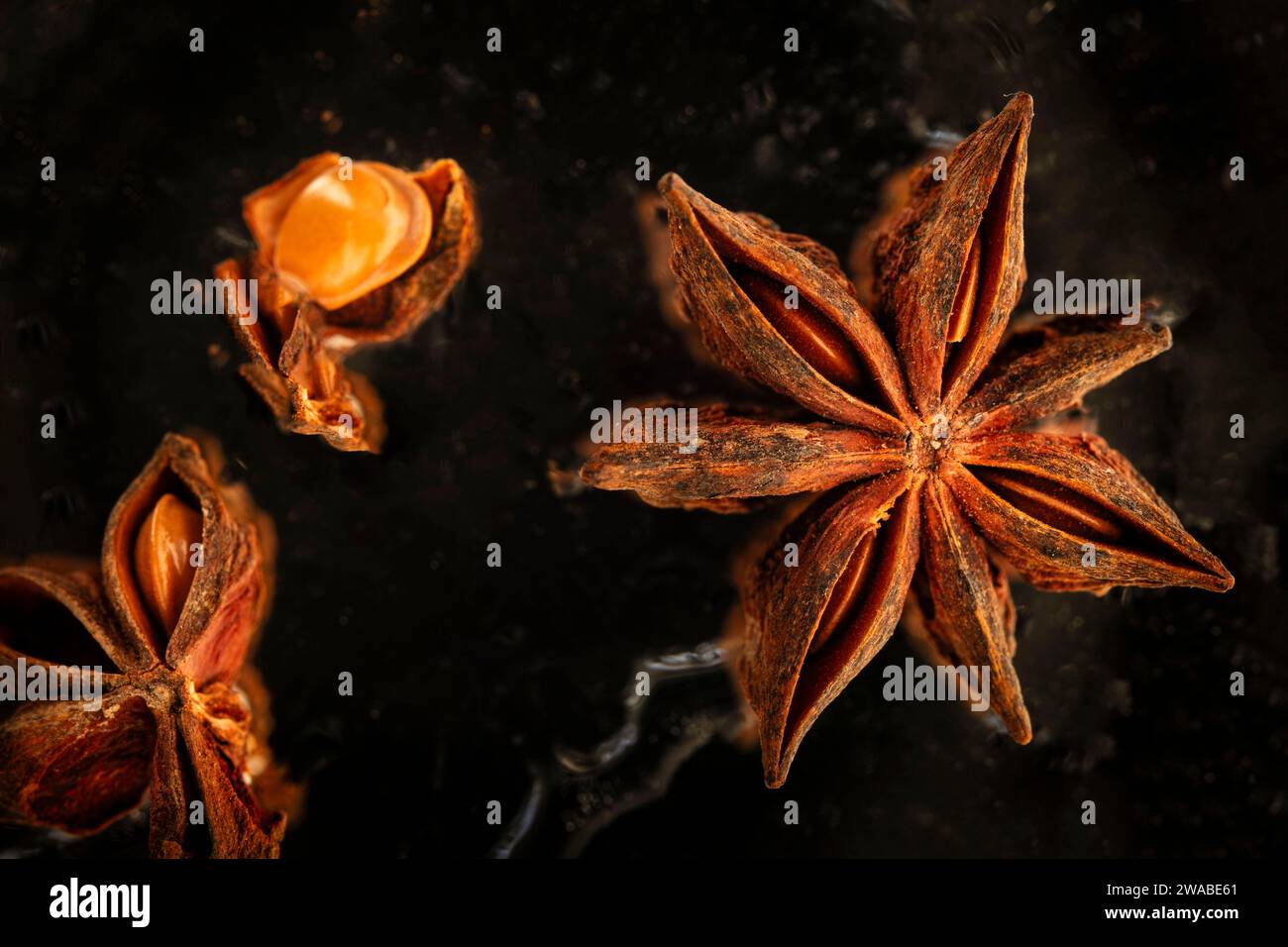 Revealing macro food ingredient close up of highly patternedIllicium ...