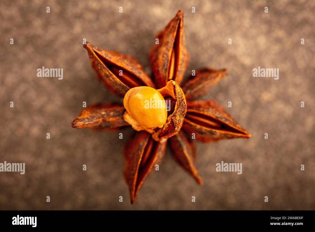 Revealing macro food ingredient close up of highly patternedIllicium ...