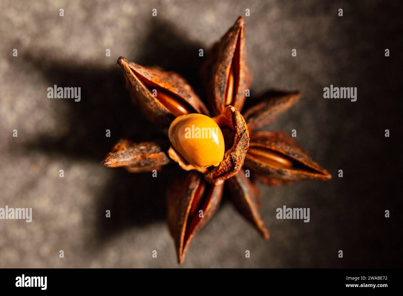Revealing macro food ingredient close up of highly patternedIllicium ...