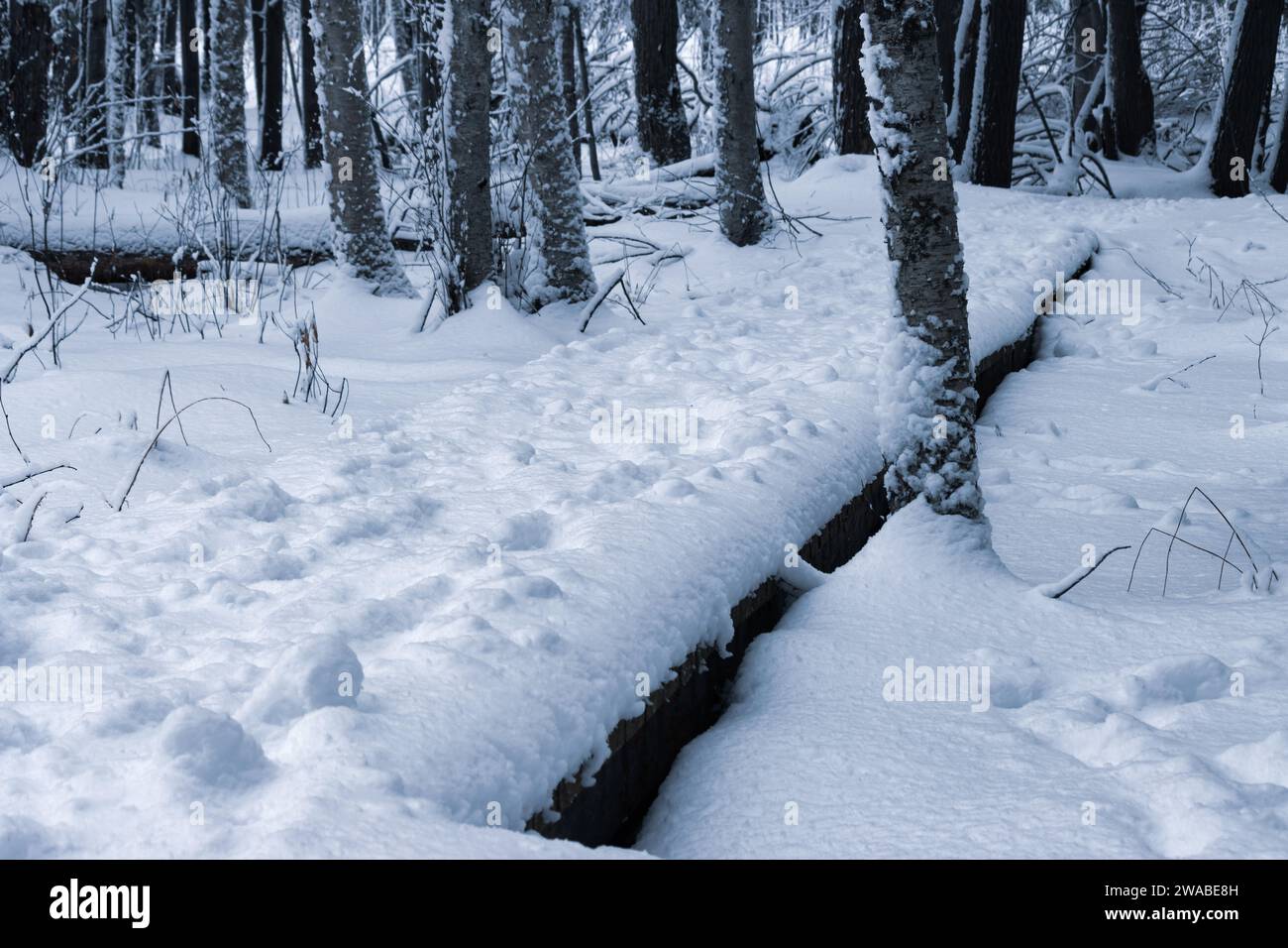 Walkway in deep snow hi-res stock photography and images - Alamy