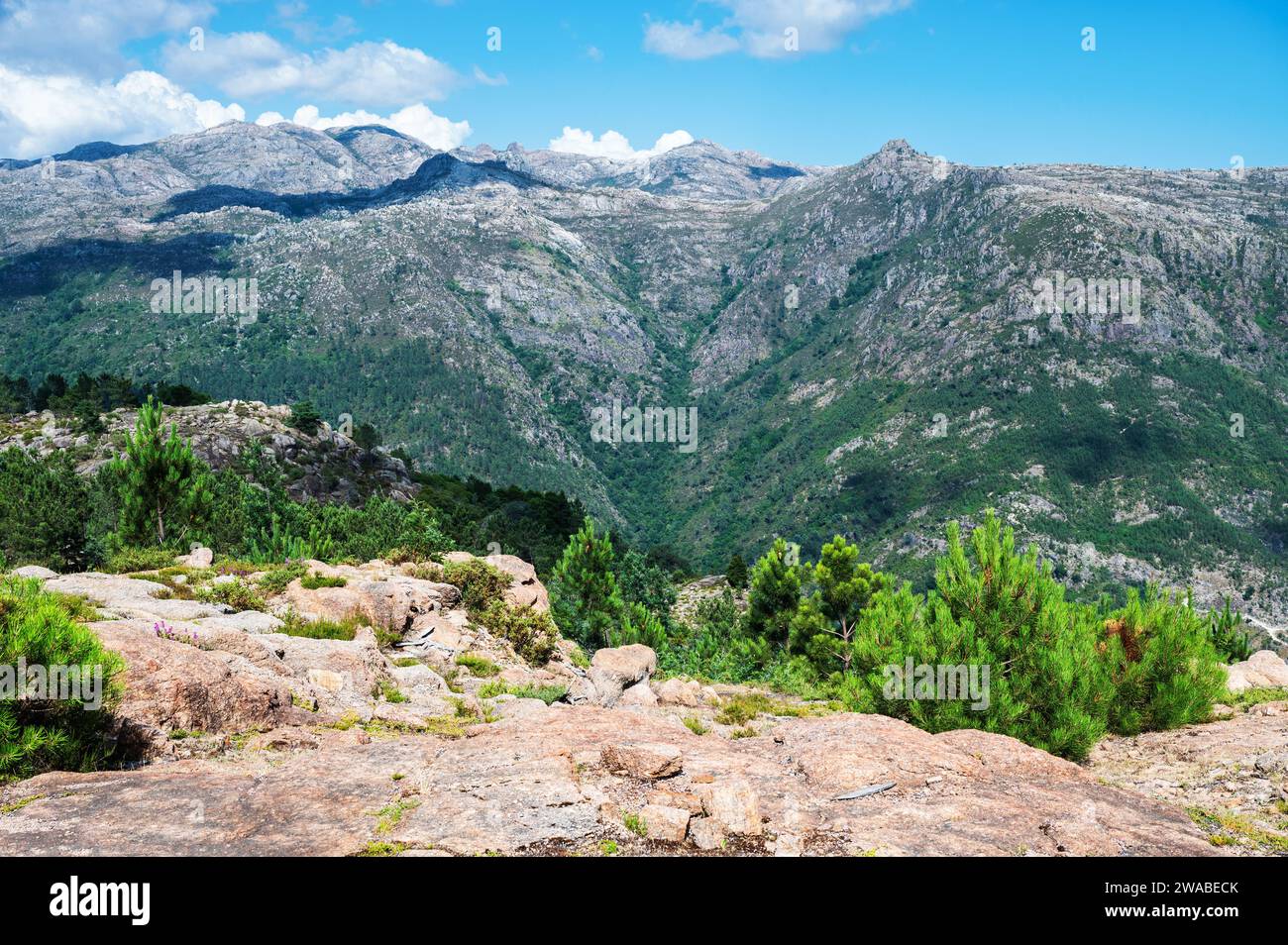Trilho da silha dos ursos hi-res stock photography and images - Alamy