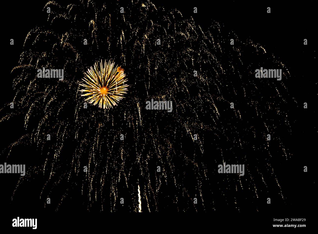 Fireworks lighting up the night sky. Pyrotechnics, abstract Stock Photo ...