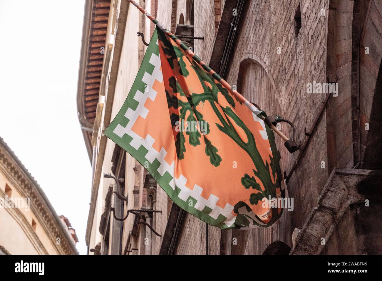 Contrade flag of the Selva-Rhino city district hanging in a street in ...