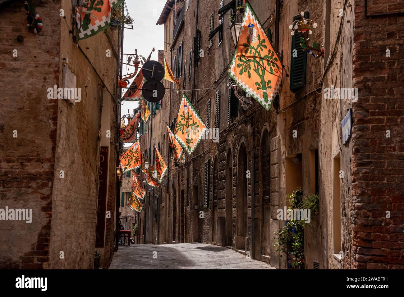Contrade flag of the Selva-Rhino city district hanging in a street in ...