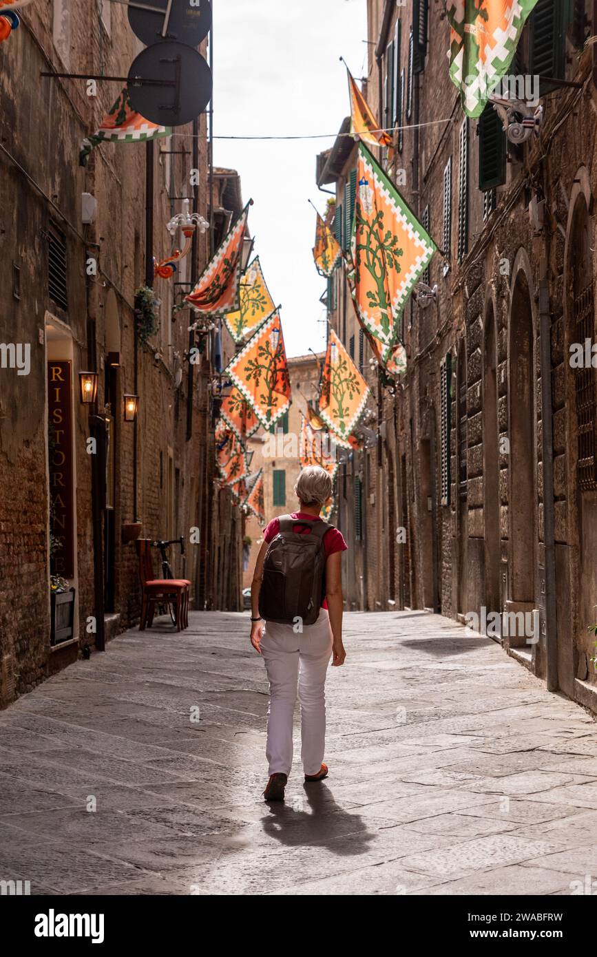 Flags of the contrade of the palio of siena hi-res stock photography ...