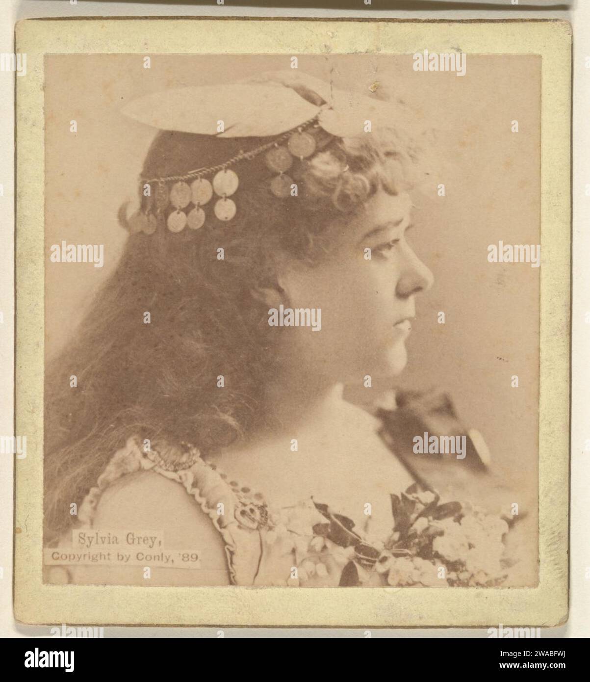 Sylvia Grey, from the Actresses series (N246), Type 2, issued by Kinney ...