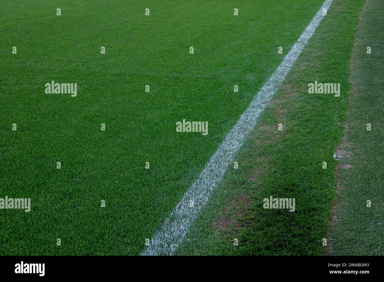 Lines of a natural grass soccer field, in a corner Stock Photo - Alamy