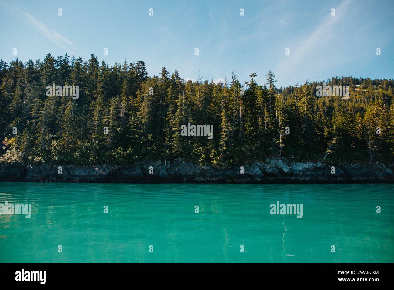 Beautiful pine trees over blue Alaskan water Stock Photo - Alamy