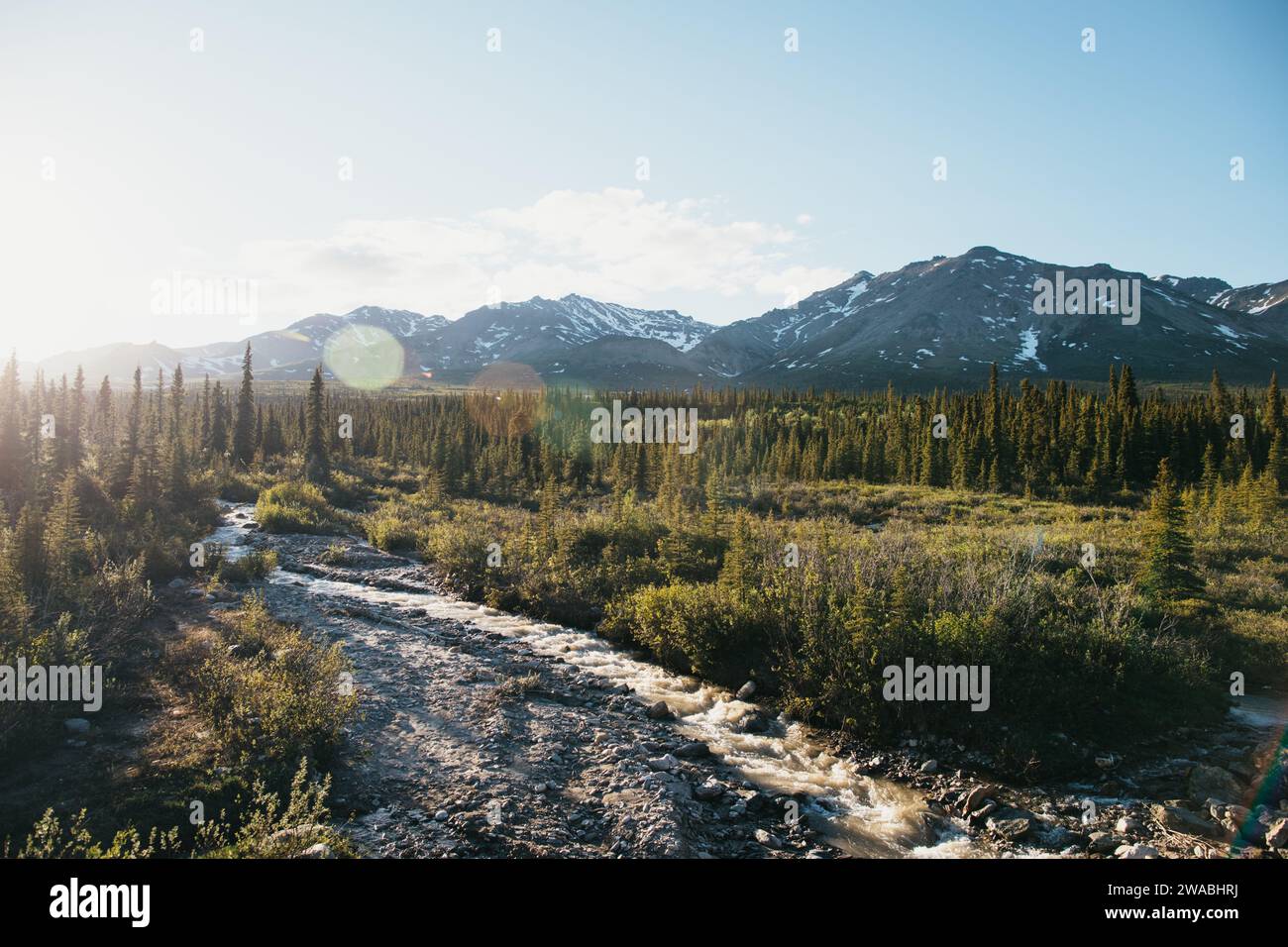 River running through Alaskan wilderness with mountains and pine trees ...