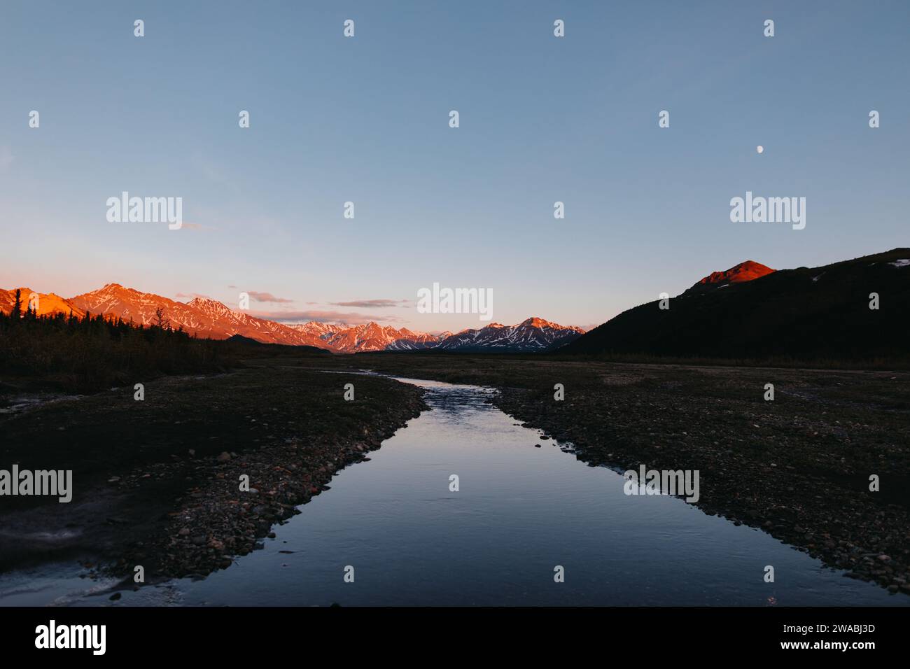 Kenai fjords national park trail hi-res stock photography and images ...