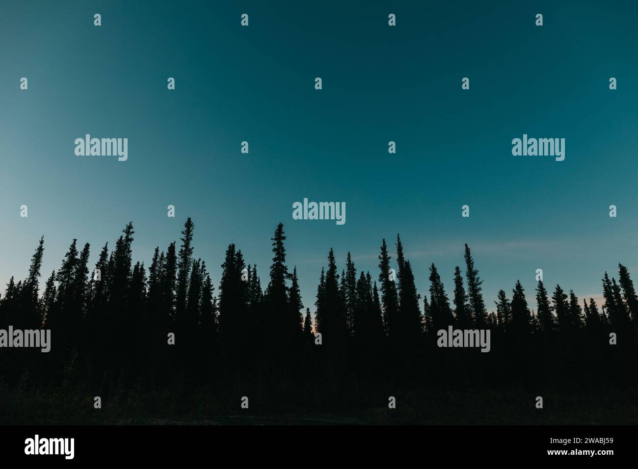 Golden trees photography hi-res stock photography and images - Alamy