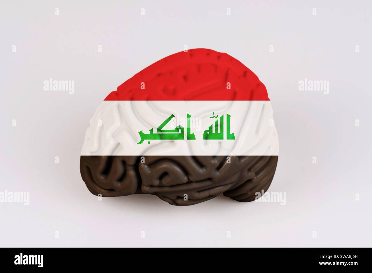 On a white background, a model of the brain with a picture of a flag ...
