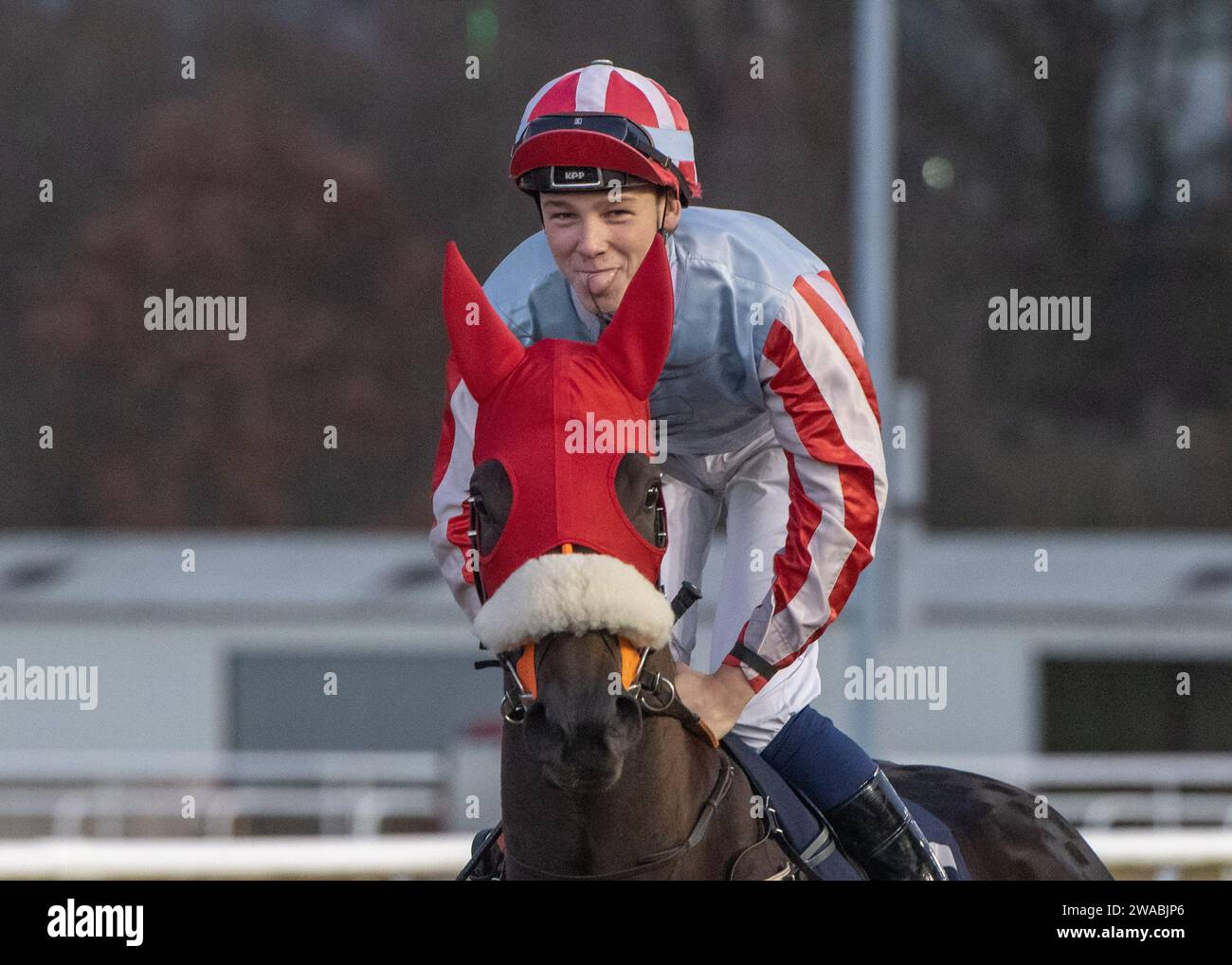 Jockey Billy Loughnane heading to post at Wolverhampton Racecourse ...