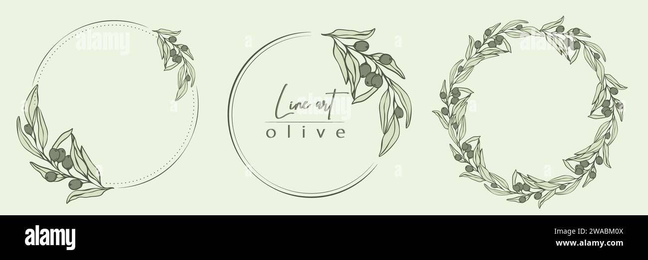 Botanical line illustration set of olive leaves, branch wreath for ...