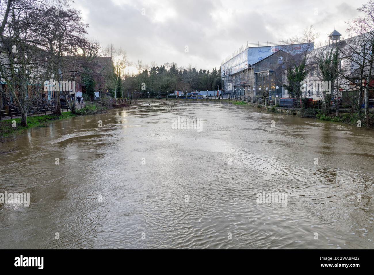 Chippenham, Wiltshire, UK, 3rd Jan, 2024. The river Avon is pictured ...