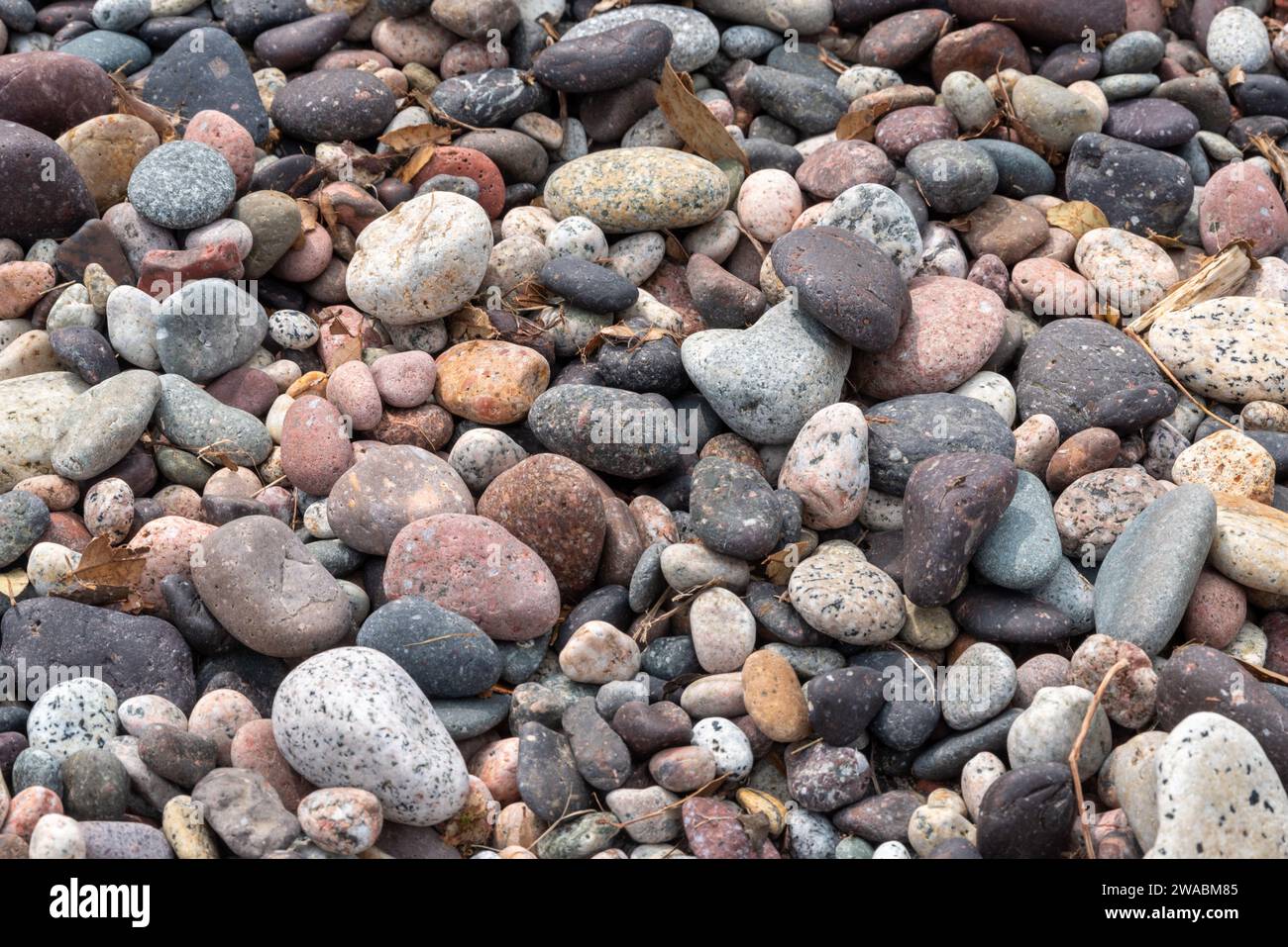 Abstract panel of pebbled beach as texture or background Stock Photo ...