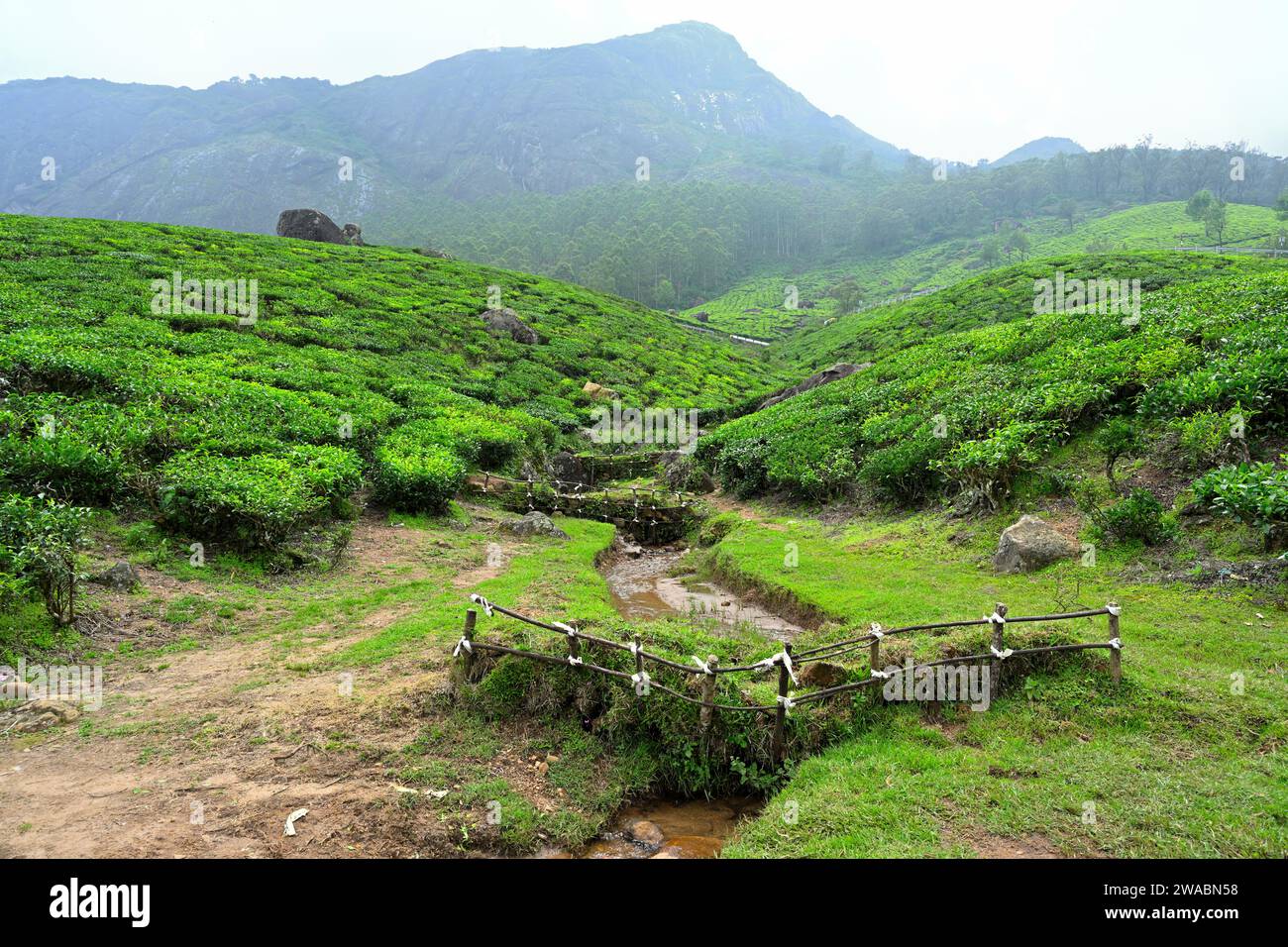 Munnar, Kerala | Narrow water stream passing through two wooden ... Munnar, Kerala | Narrow water stream passing through two wooden ...