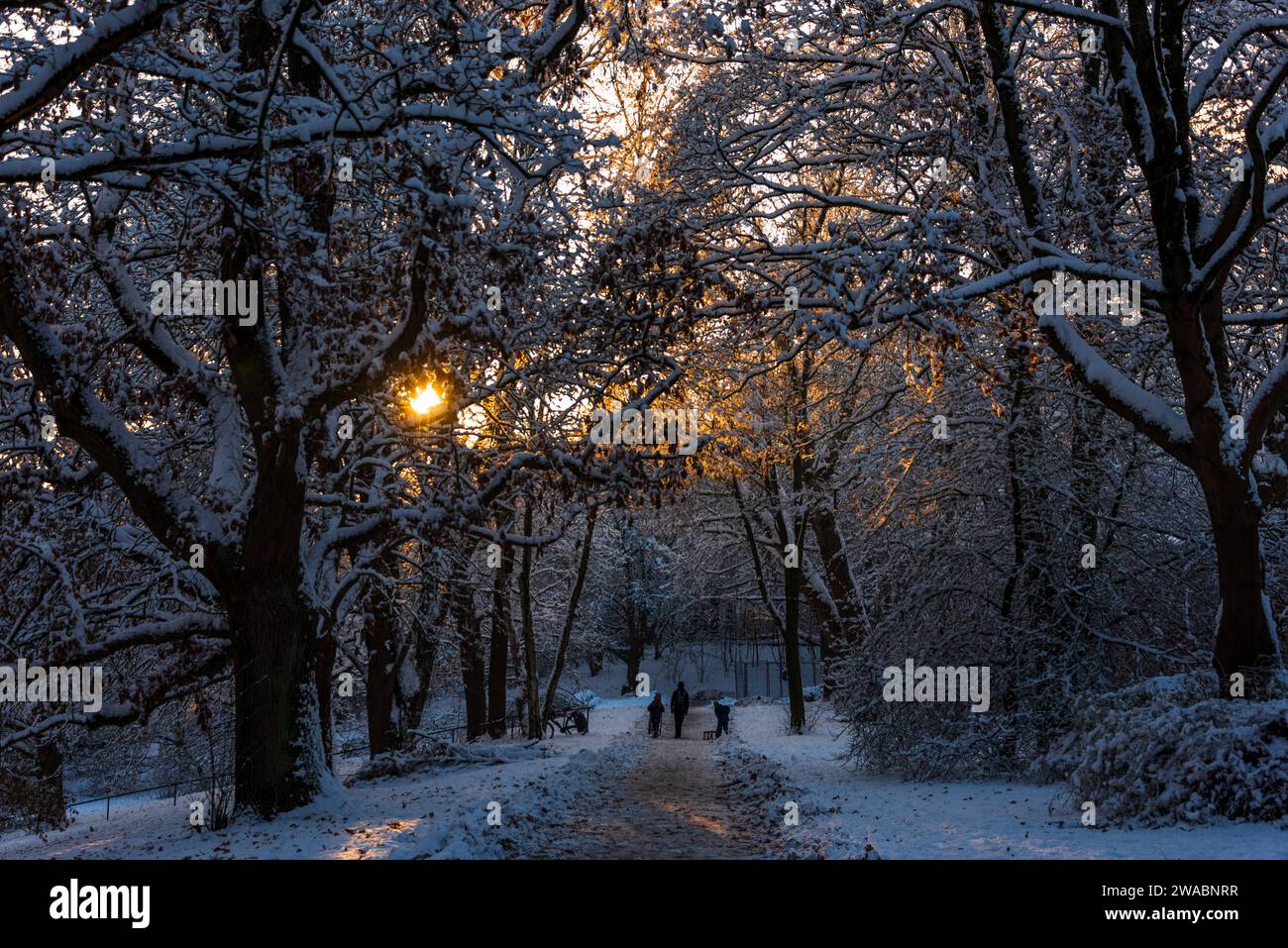 Park im Winter mit untergehender Sonne, eine Familie kommt vom ...
