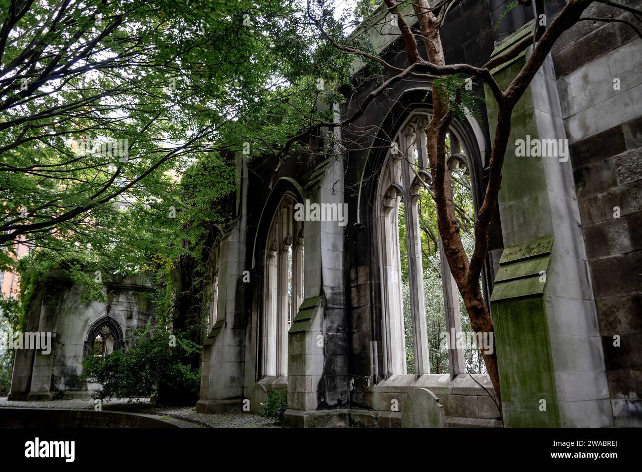 St. Dunstan In The Eeast, Abandoned And Decayed Church Ruin With ...