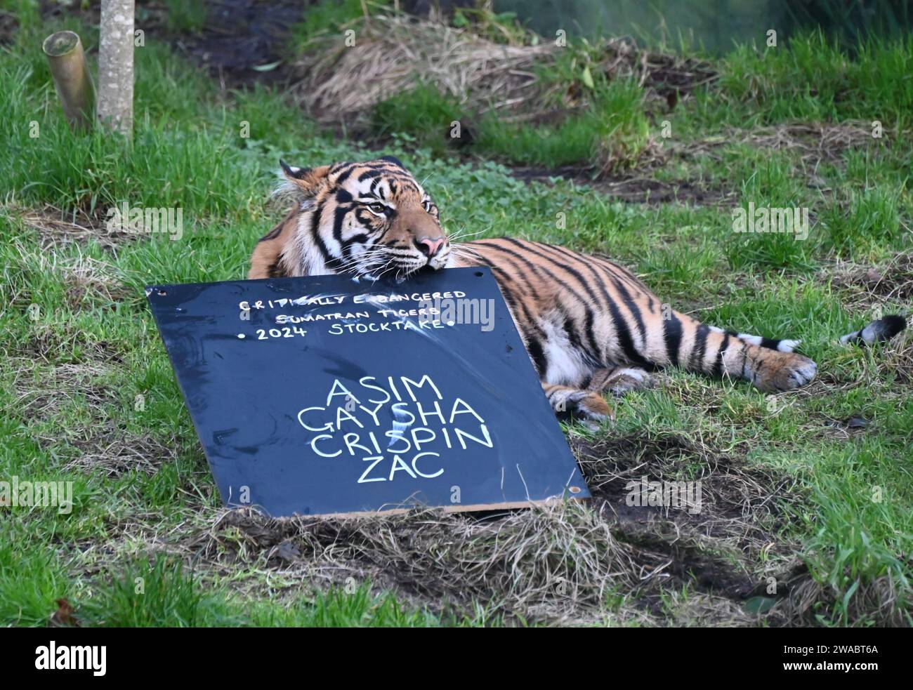 London Zoo held its annual stocktake, a mammoth task which involves ...