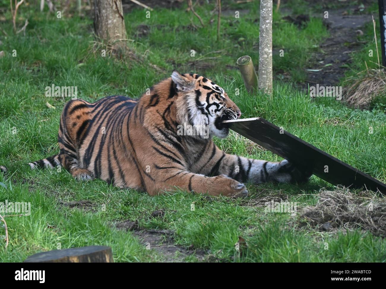 London Zoo held its annual stocktake, a mammoth task which involves ...