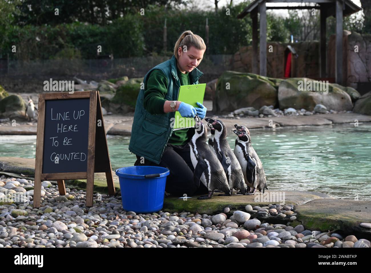 London Zoo held its annual stocktake, a mammoth task which involves ...