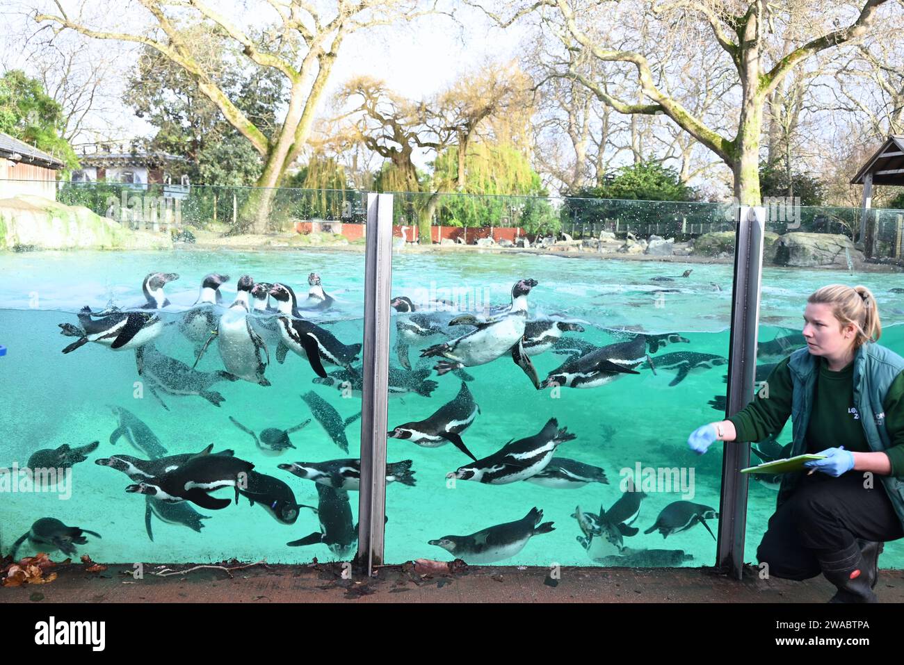 London Zoo held its annual stocktake, a mammoth task which involves ...