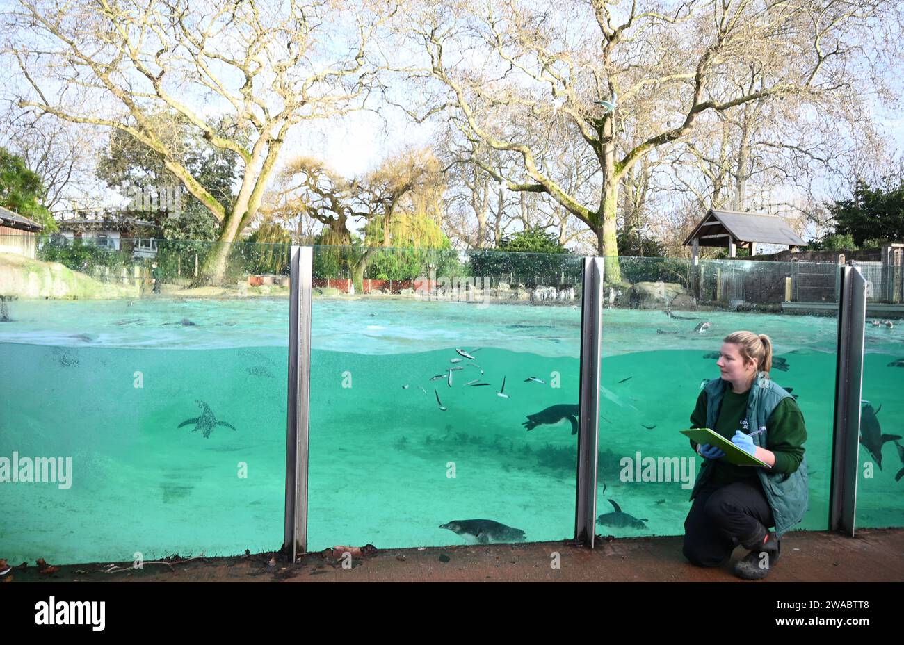 London Zoo held its annual stocktake, a mammoth task which involves ...