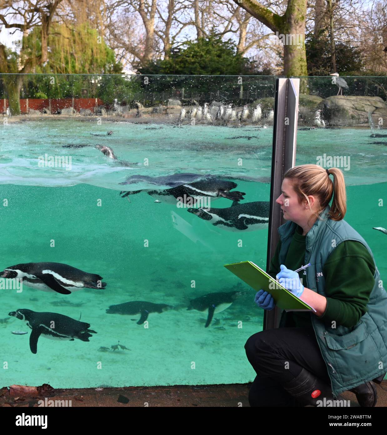 London Zoo held its annual stocktake, a mammoth task which involves ...