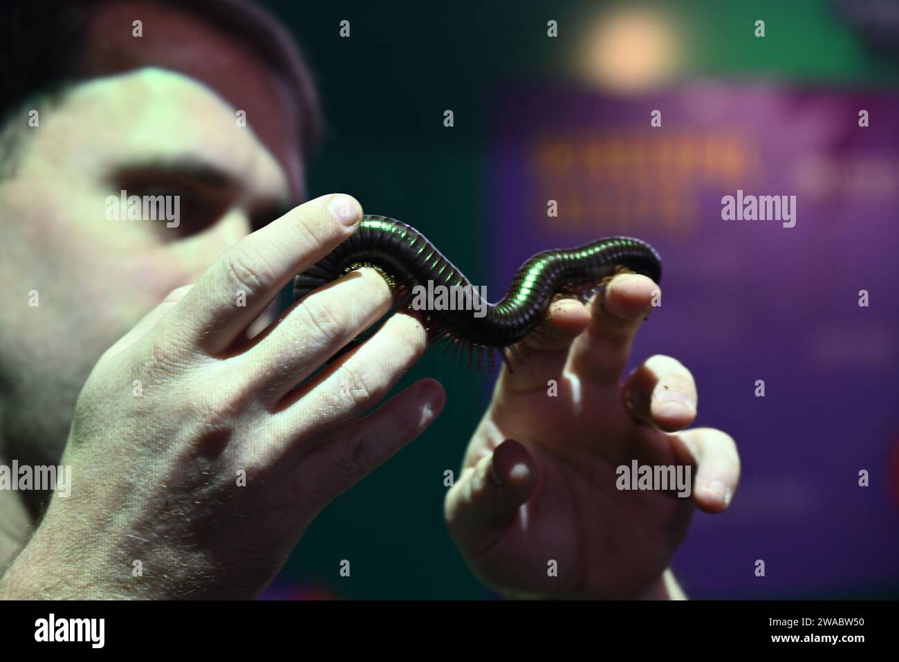 London Zoo held its annual stocktake, a mammoth task which involves ...