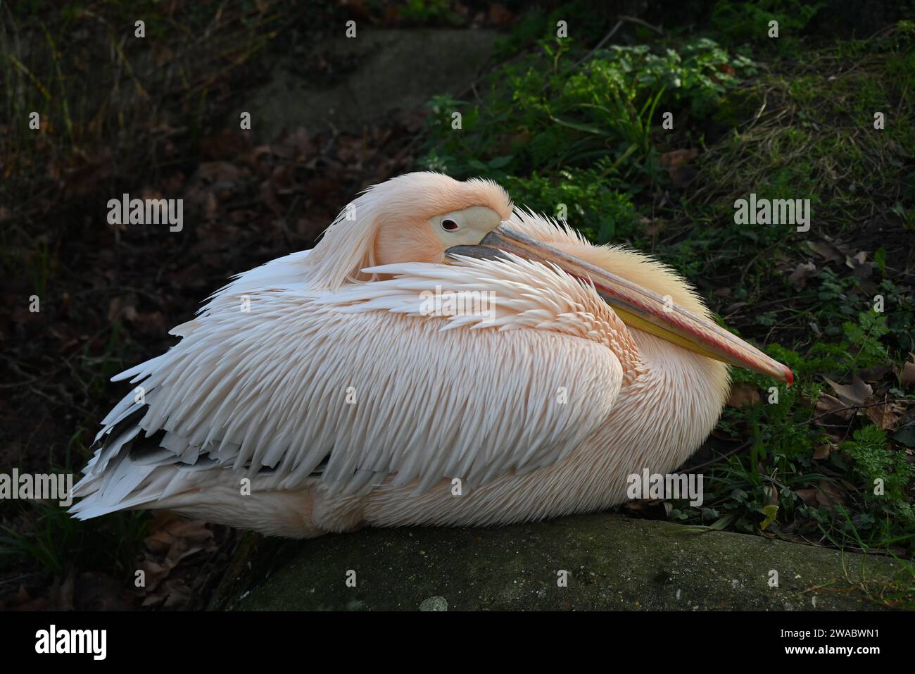 London Zoo held its annual stocktake, a mammoth task which involves ...