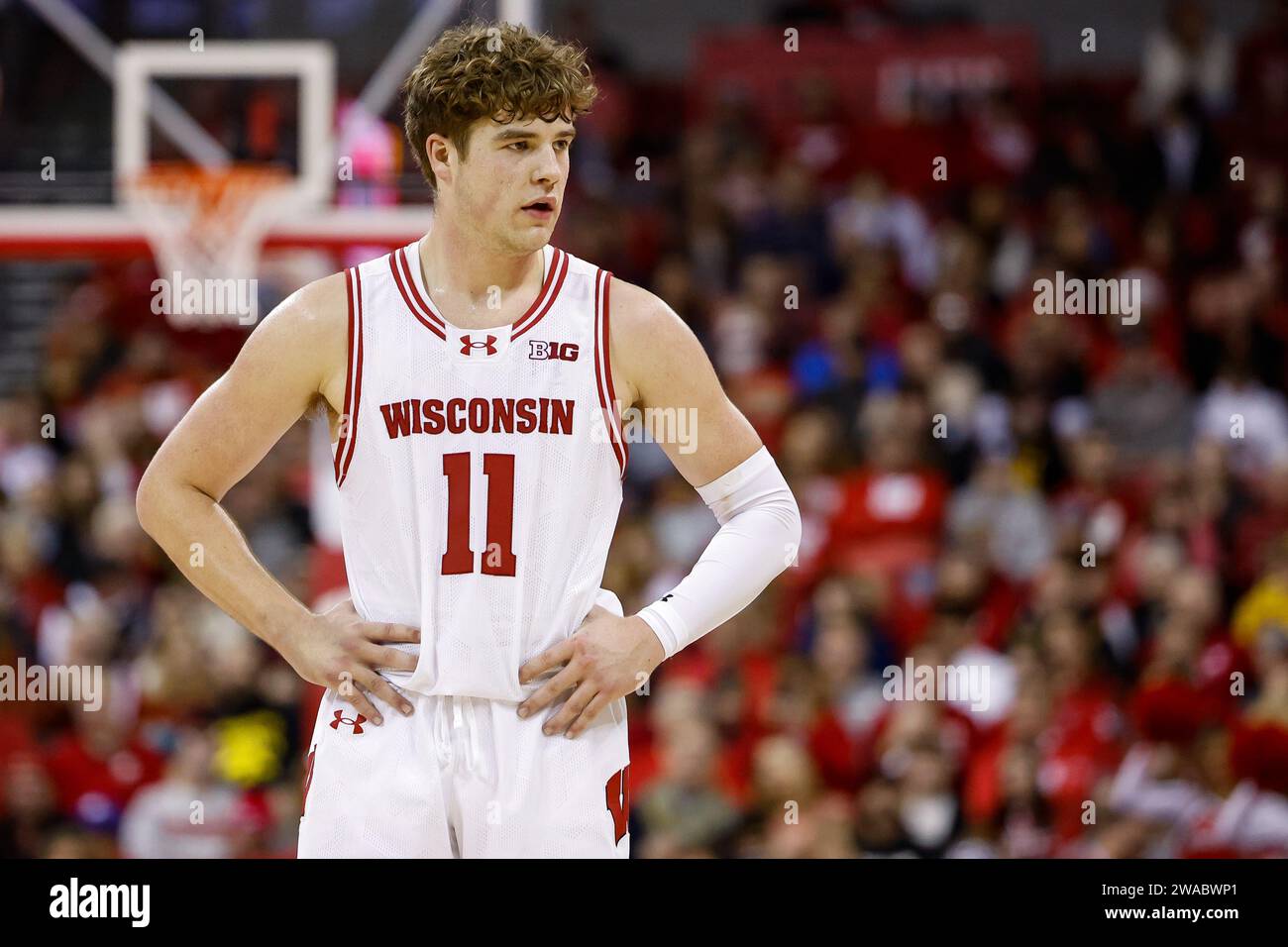 2024 0061 jpg hi-res stock photography and images - Alamy