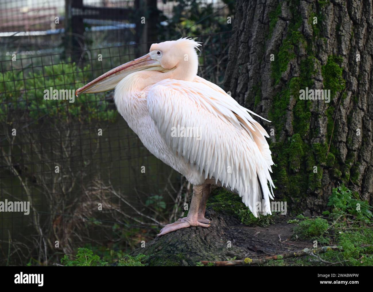 London Zoo held its annual stocktake, a mammoth task which involves ...