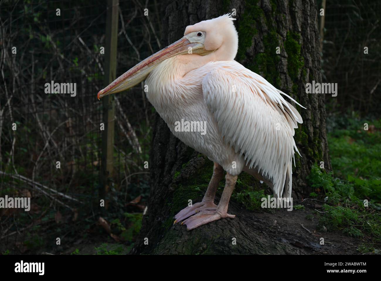 London Zoo held its annual stocktake, a mammoth task which involves ...