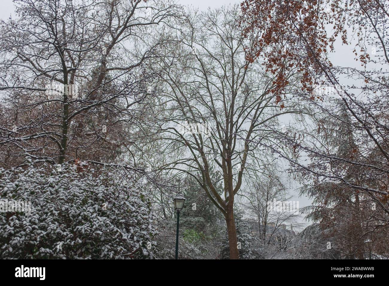 Paris, France, 2021. Snow falling on a vintage lamp post in a Parisian ...