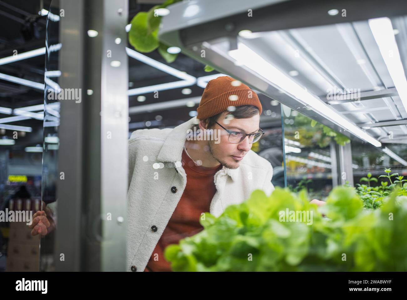 Man in store chooses greens parsley stands at window with refrigerators ...
