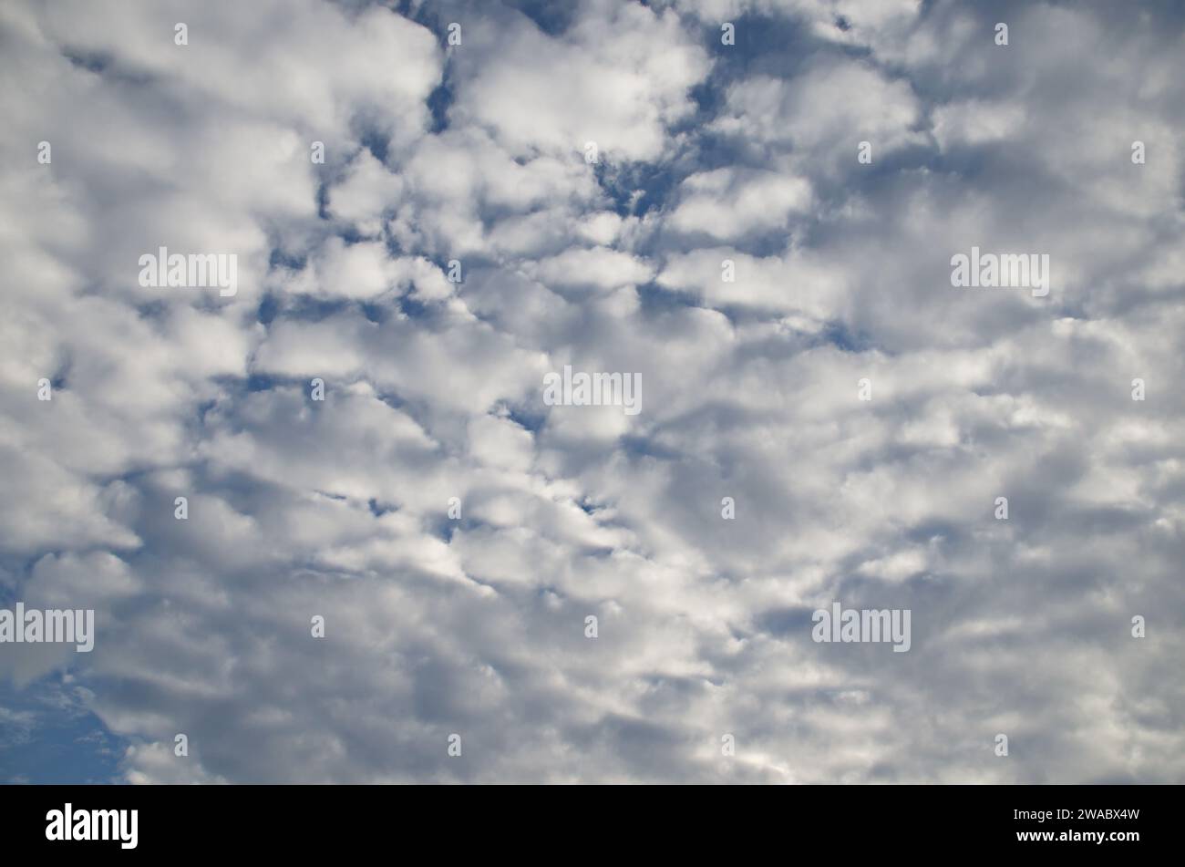 Background of rainy fluffy clouds floating on a bright blue sky, Sofia ...