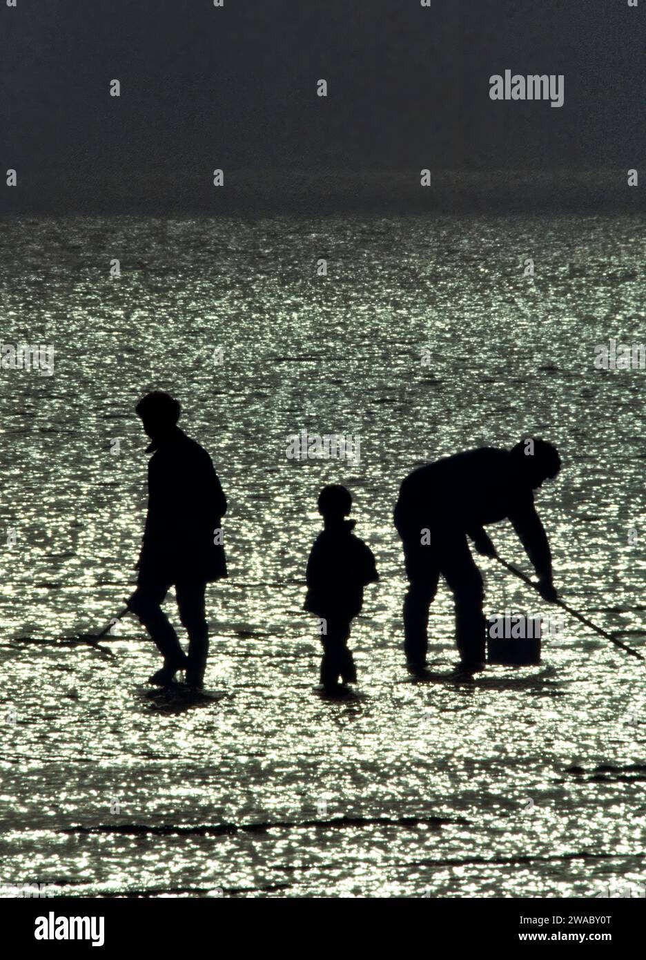 Cockle shell pickers on the beach in England Stock Photo - Alamy